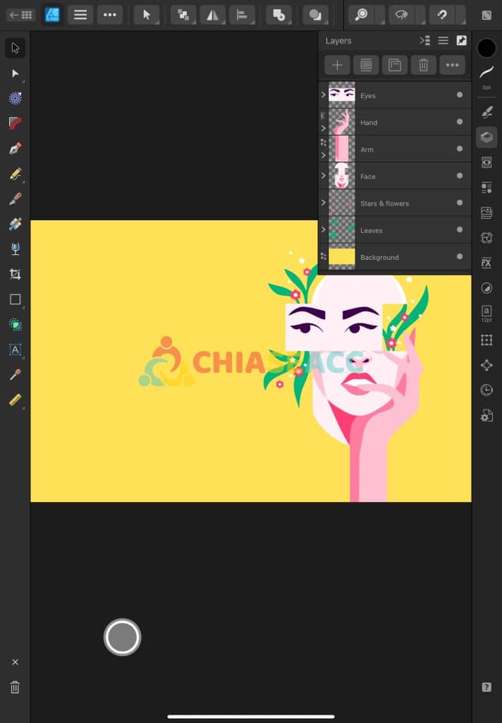 Tài khoản Affinity Designer 2 vĩnh viễn trên iPad/MacOS/Win