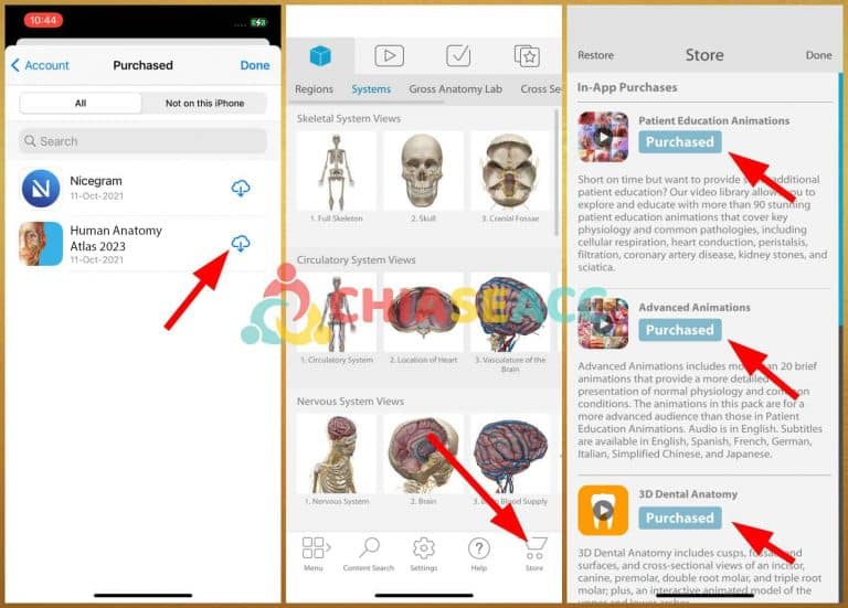Human Anatomy Atlas 2026 full in app mở khoá tất cả tính năng