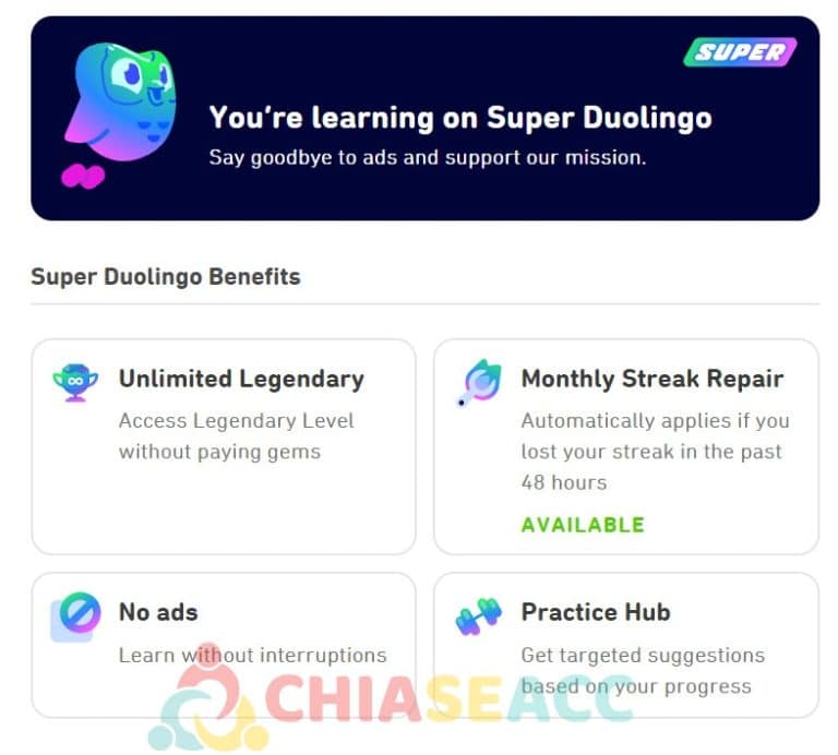 Mua phần mềm Super Duolingo bản quyền chính hãng, giá rẻ